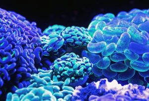Cerebrospinal fluid - Brain Health Network